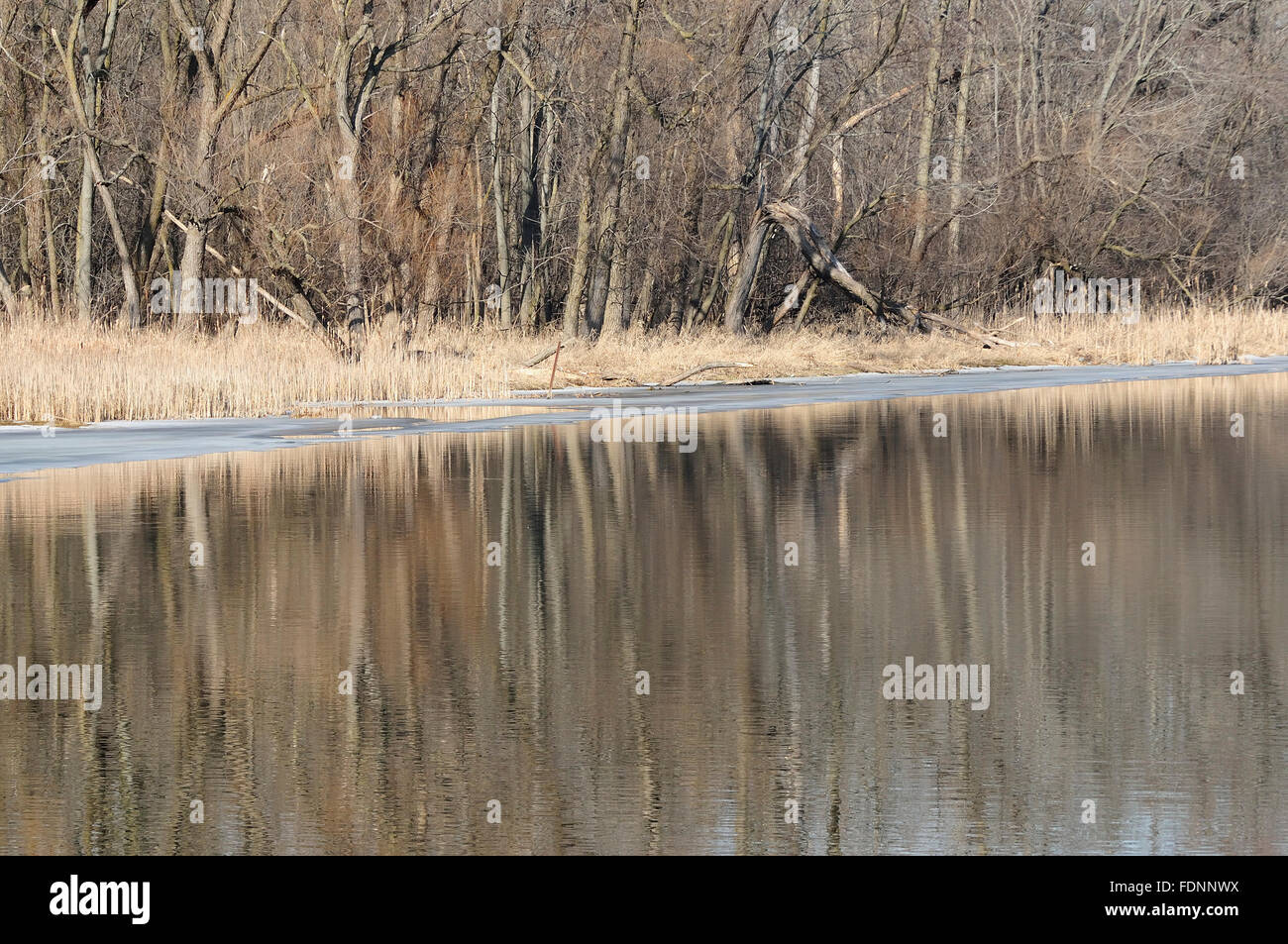 Winter river bank Stock Photo - Alamy