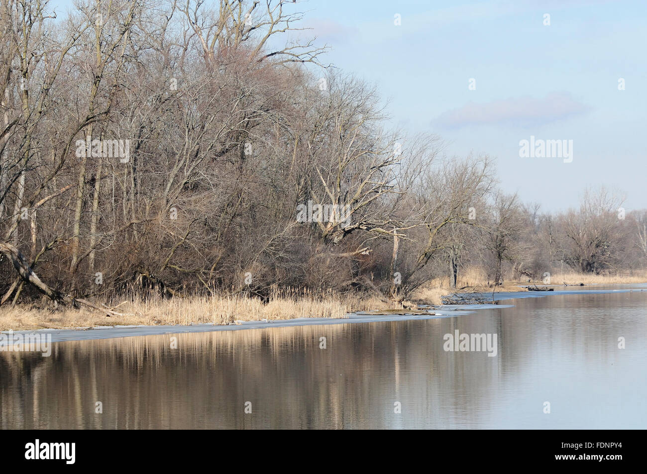 Winter river bank Stock Photo - Alamy
