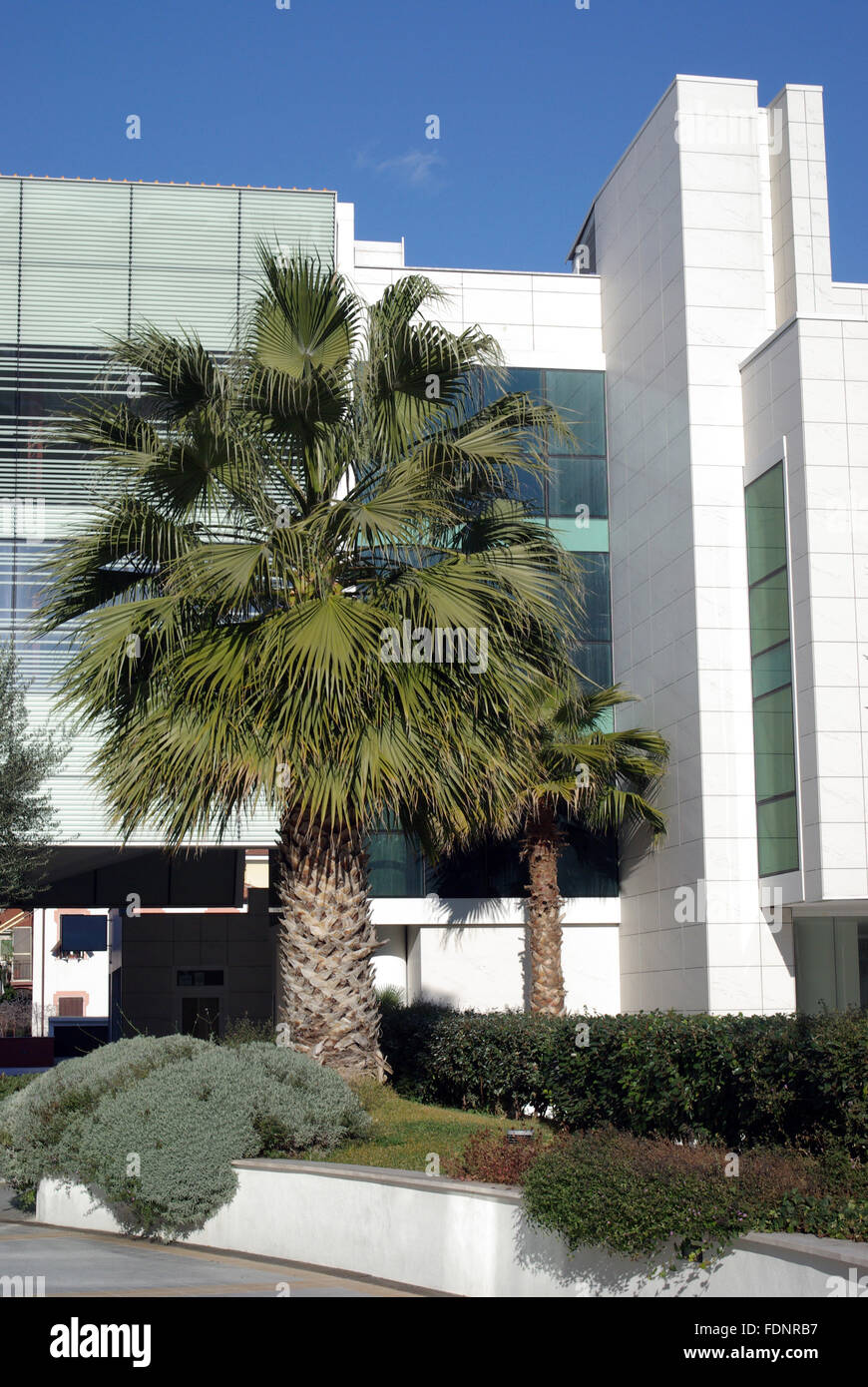 View the exterior of modern office building Stock Photo - Alamy