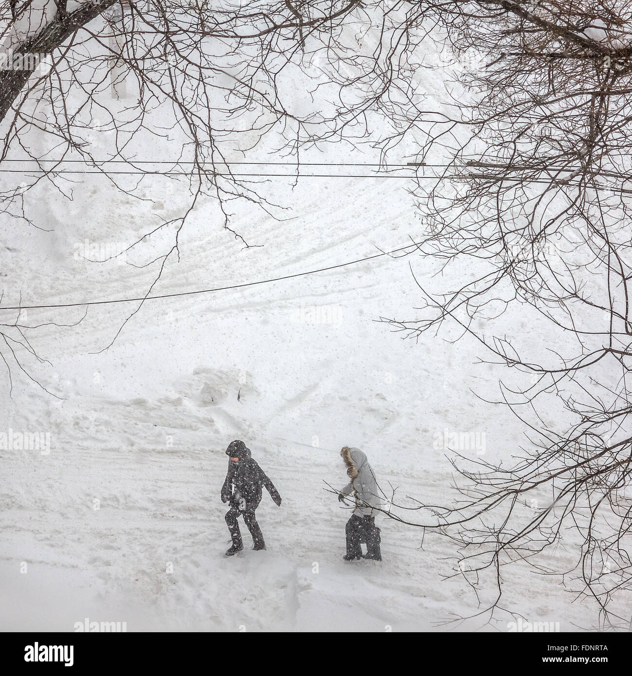 Odessa, Ukraine - January 18, 2016: A powerful cyclone, storm, heavy ...