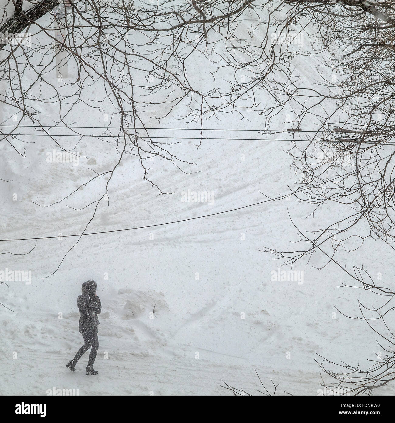 Odessa, Ukraine - January 18, 2016: A powerful cyclone, storm, heavy ...