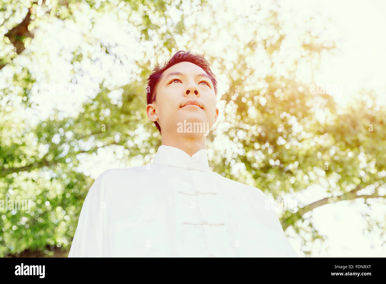 Handsome man practicing thai chi in the park in the summertime Stock ...