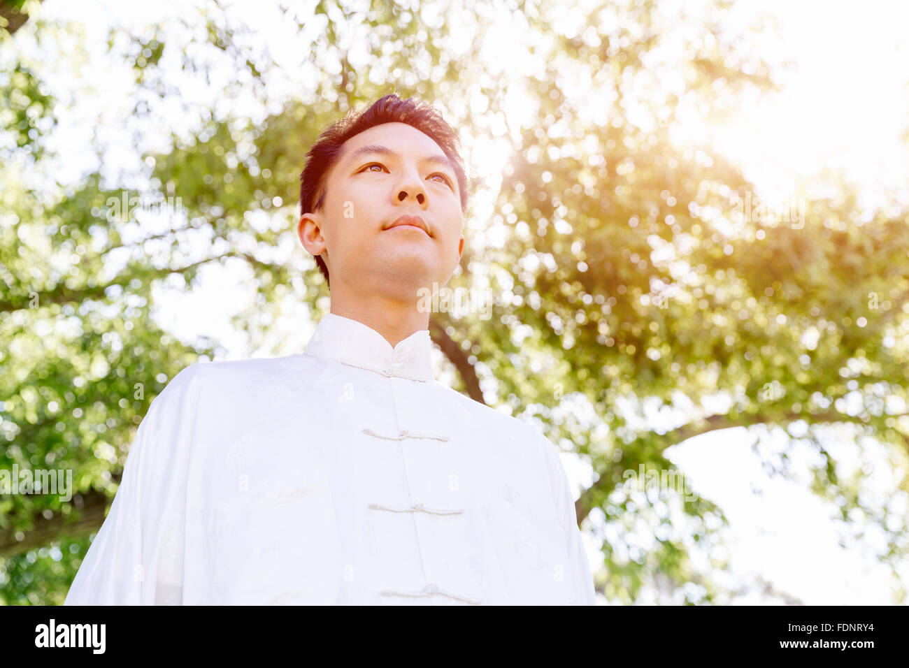 Handsome man practicing thai chi in the park in the summertime Stock ...
