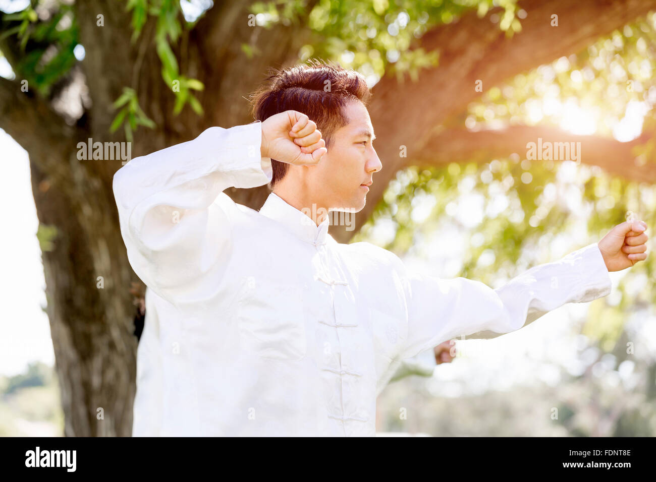 Handsome man practicing thai chi in the park in the summertime Stock ...