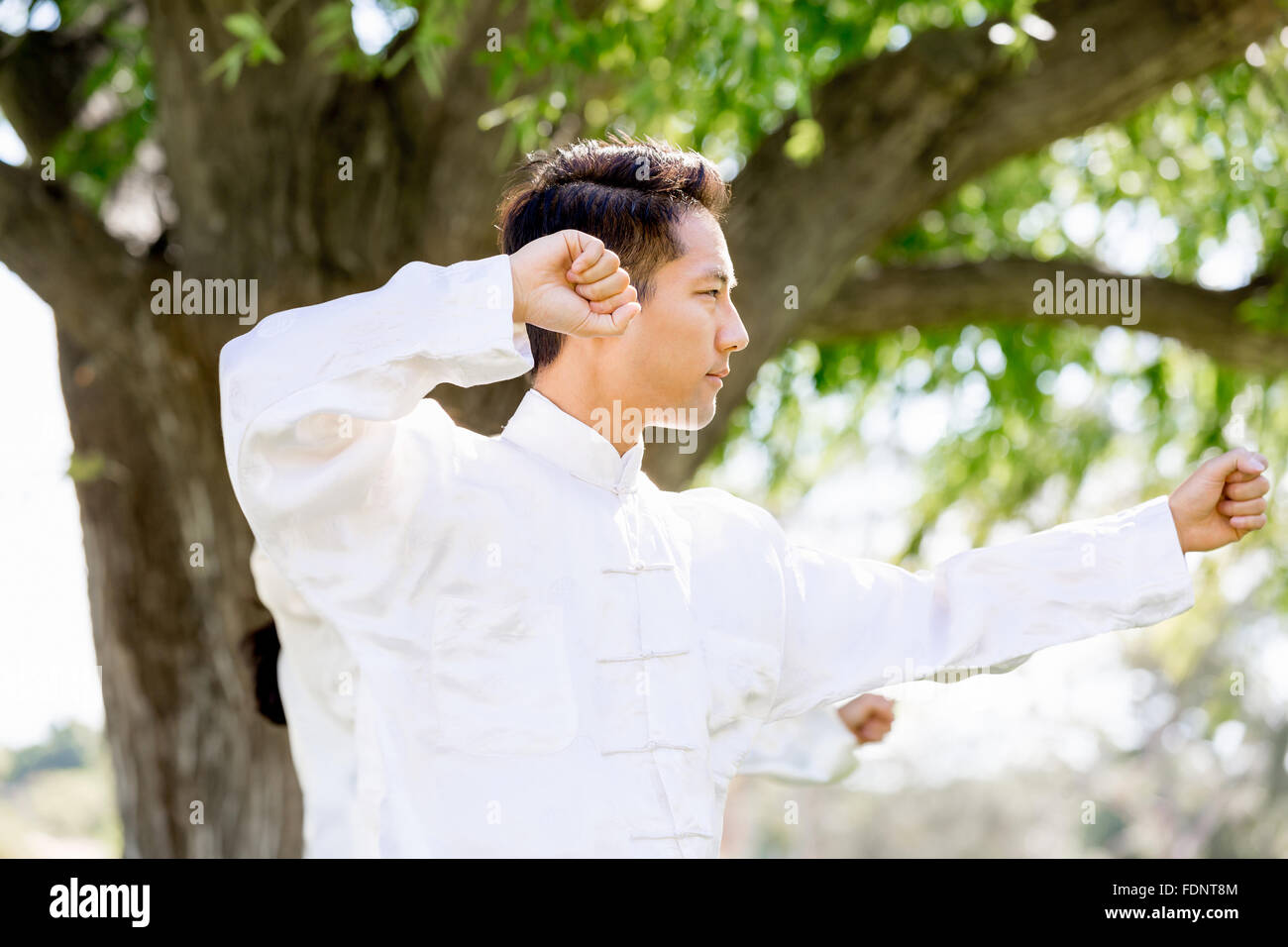 Handsome man practicing thai chi in the park in the summertime Stock ...