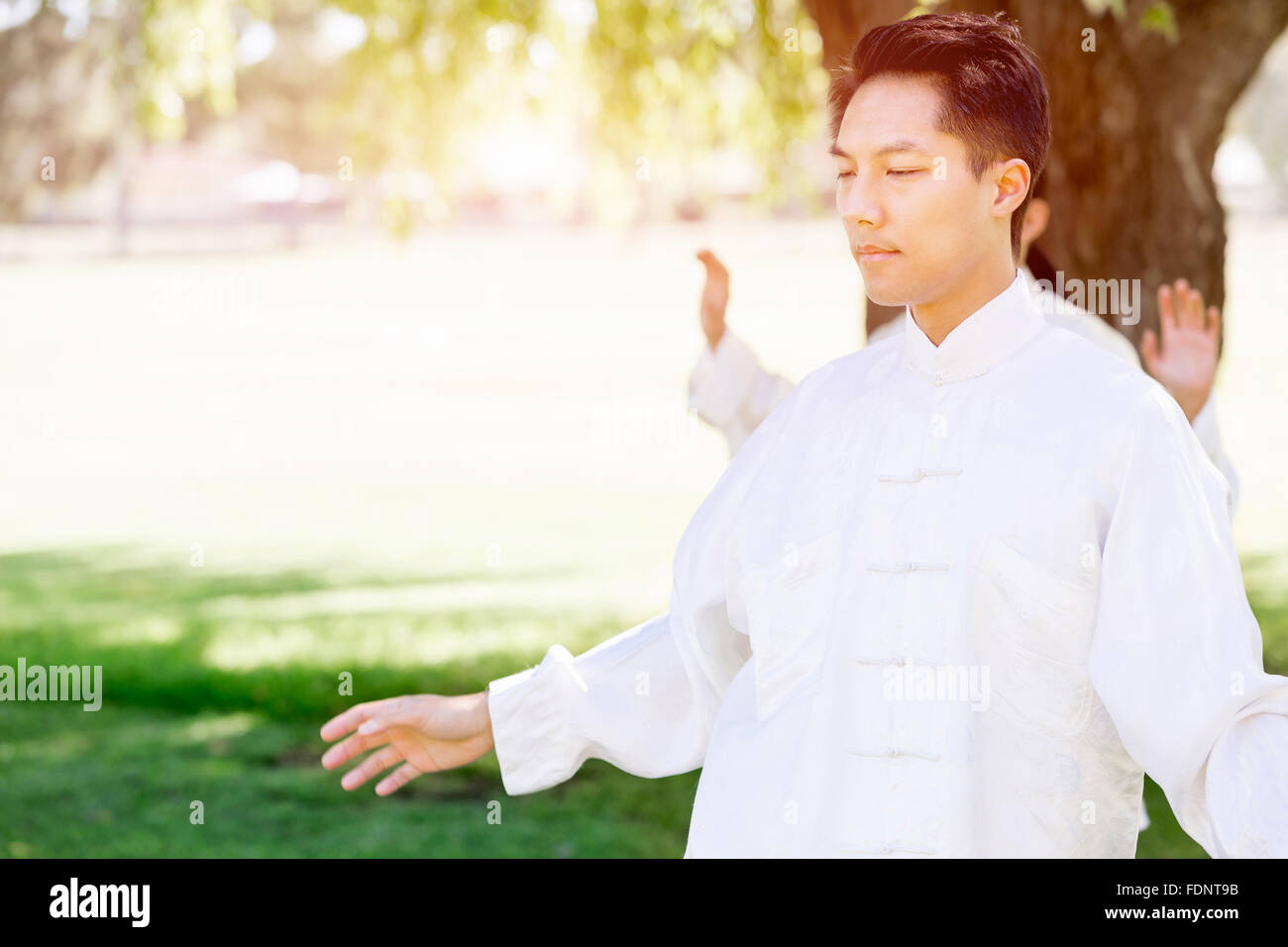 Handsome man practicing thai chi in the park in the summertime Stock ...