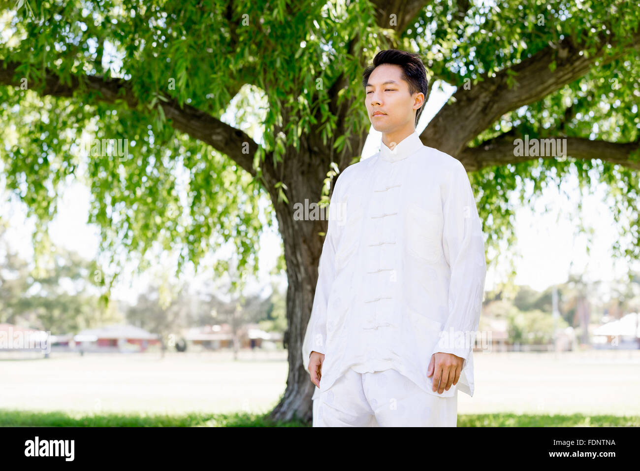 Handsome man practicing thai chi in the park in the summertime Stock ...