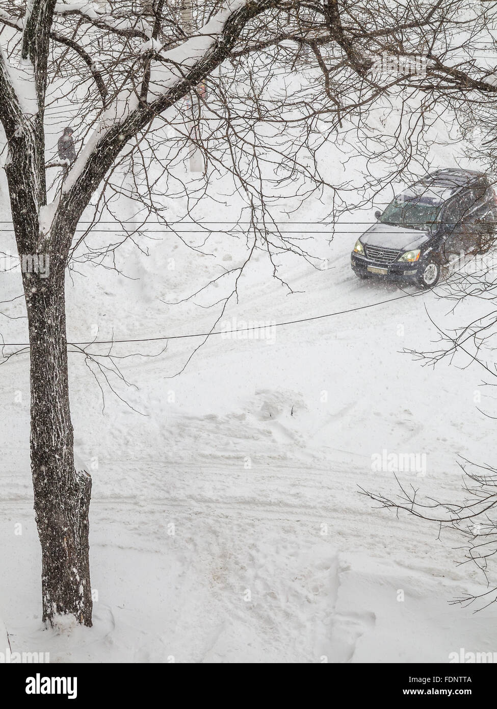 Odessa, Ukraine - January 18, 2016: A powerful cyclone, storm, heavy ...