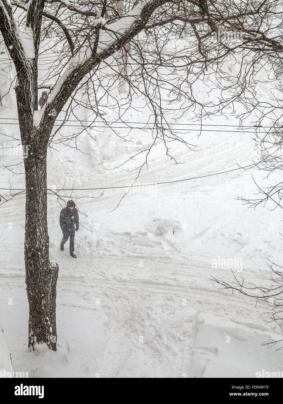 Odessa, Ukraine - January 18, 2016: A powerful cyclone, storm, heavy ...