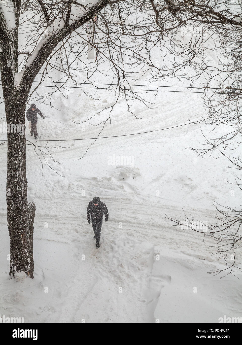 Odessa, Ukraine - January 18, 2016: A powerful cyclone, storm, heavy ...