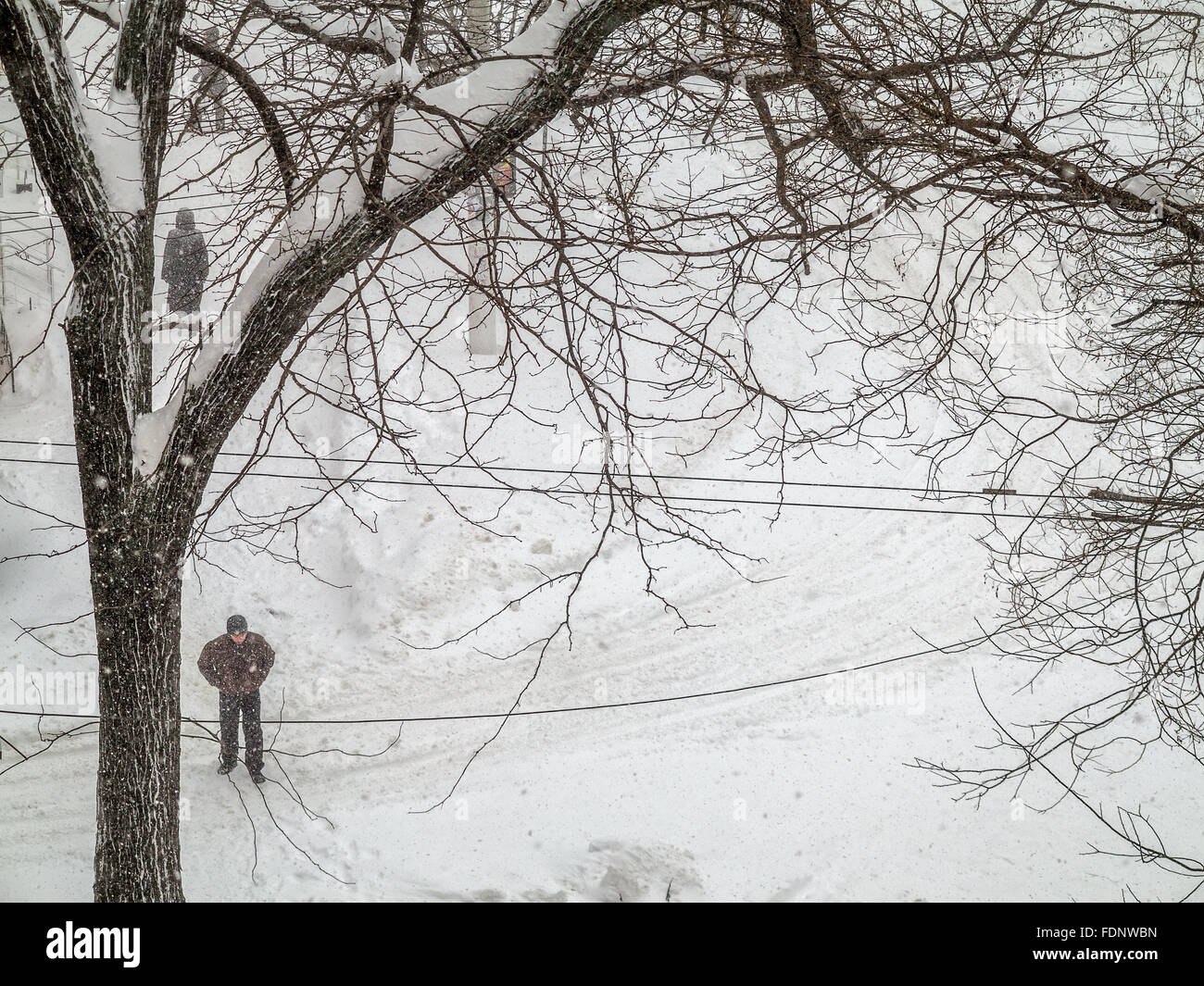 Odessa, Ukraine - January 18, 2016: A powerful cyclone, storm, heavy ...