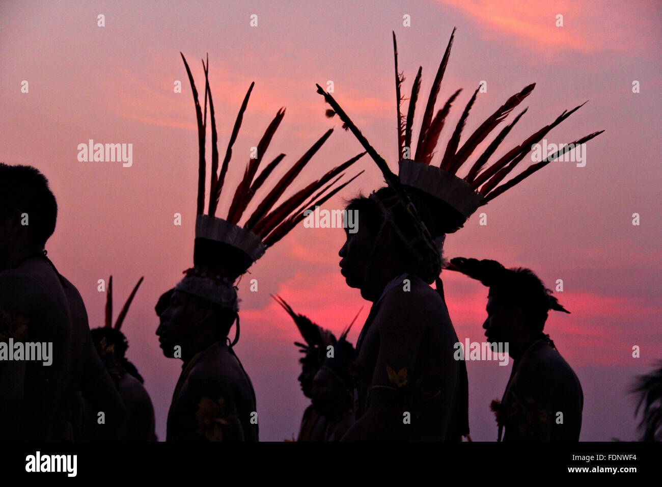 Brazilian indigenous people in native costume are silhouetted by the ...