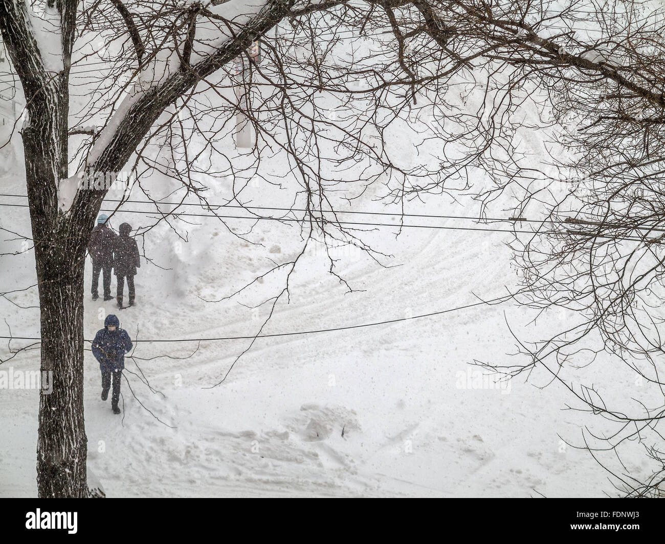 Odessa, Ukraine - January 18, 2016: A powerful cyclone, storm, heavy ...