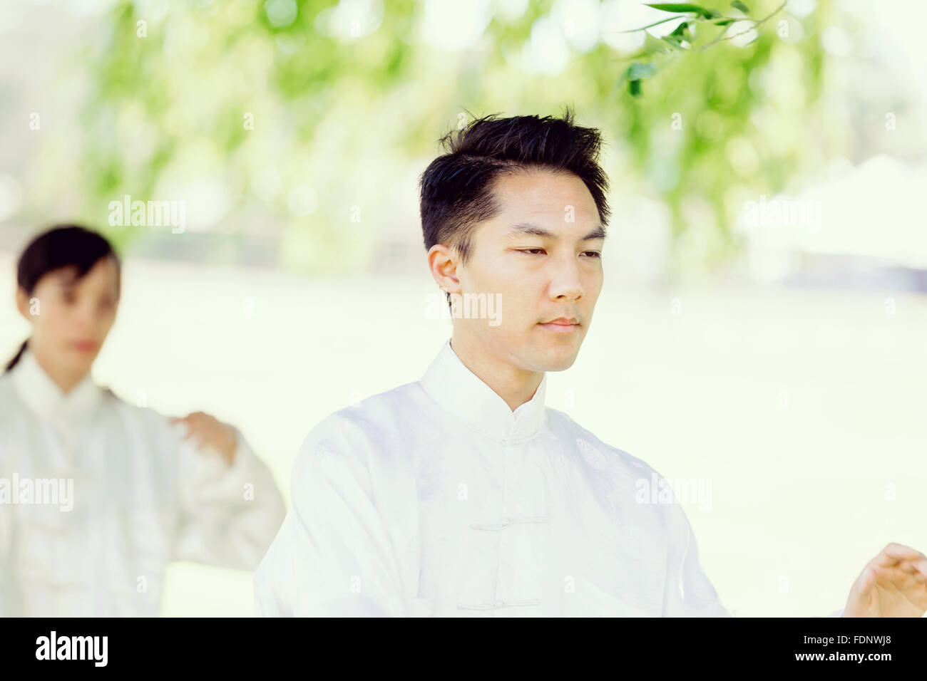 Handsome man practicing thai chi in the park in the summertime Stock ...