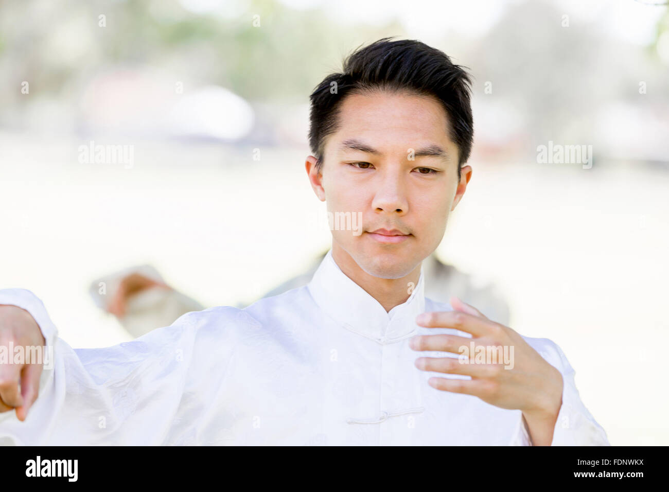 Handsome man practicing thai chi in the park in the summertime Stock ...