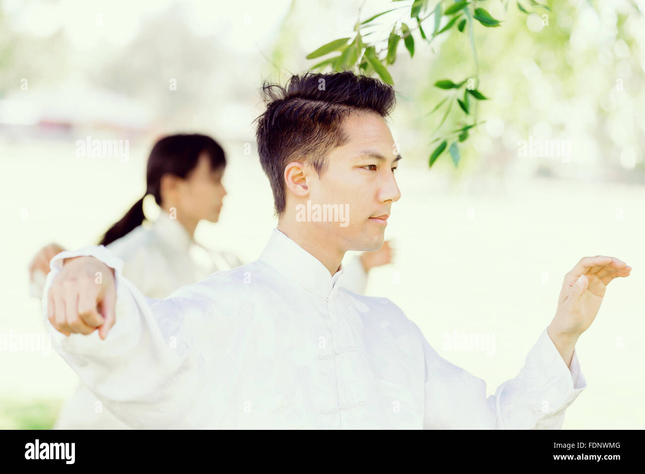 Handsome man practicing thai chi in the park in the summertime Stock ...