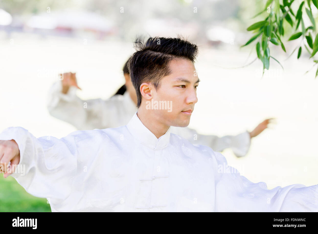 Handsome man practicing thai chi in the park in the summertime Stock ...