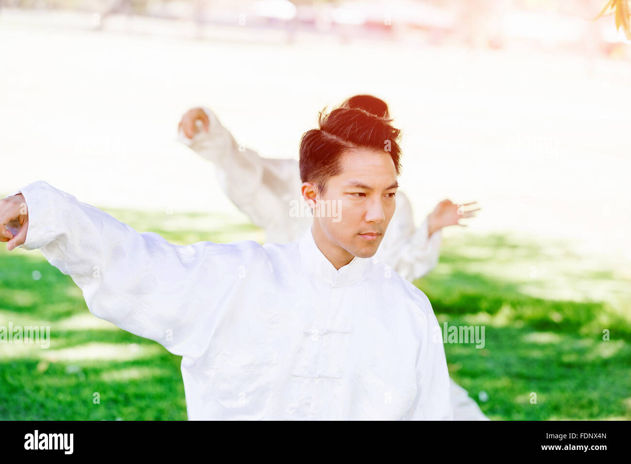 Handsome man practicing thai chi in the park in the summertime Stock ...