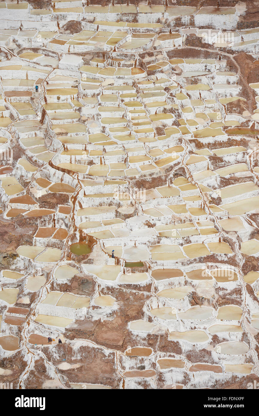 Salina de Maras, the traditional inca salt field in Maras near Cuzco in ...