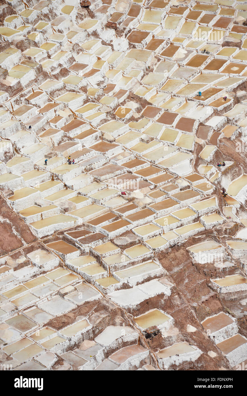 Salina de Maras, the traditional inca salt field in Maras near Cuzco in ...