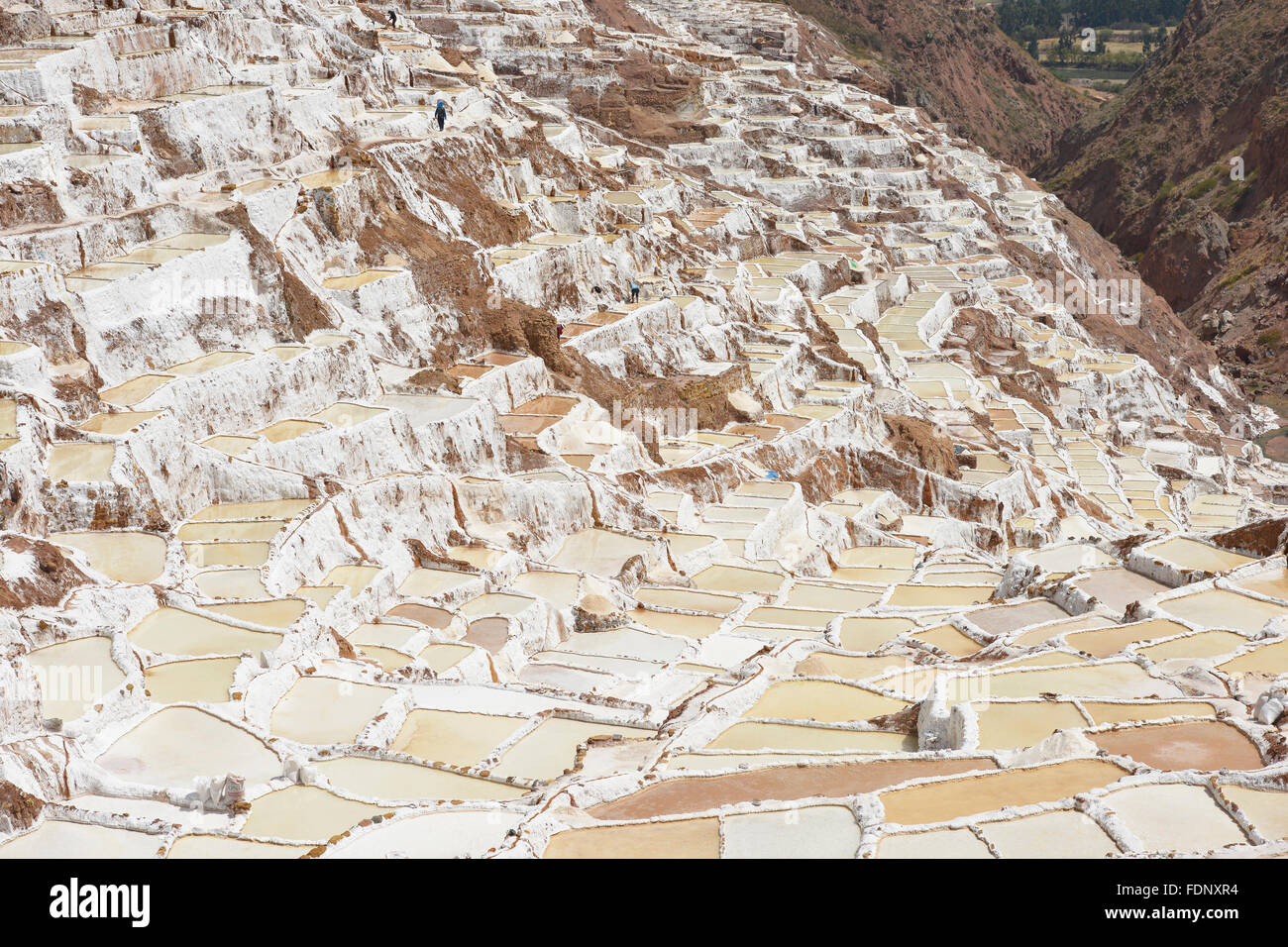 Salina de Maras, the traditional inca salt field in Maras near Cuzco in ...