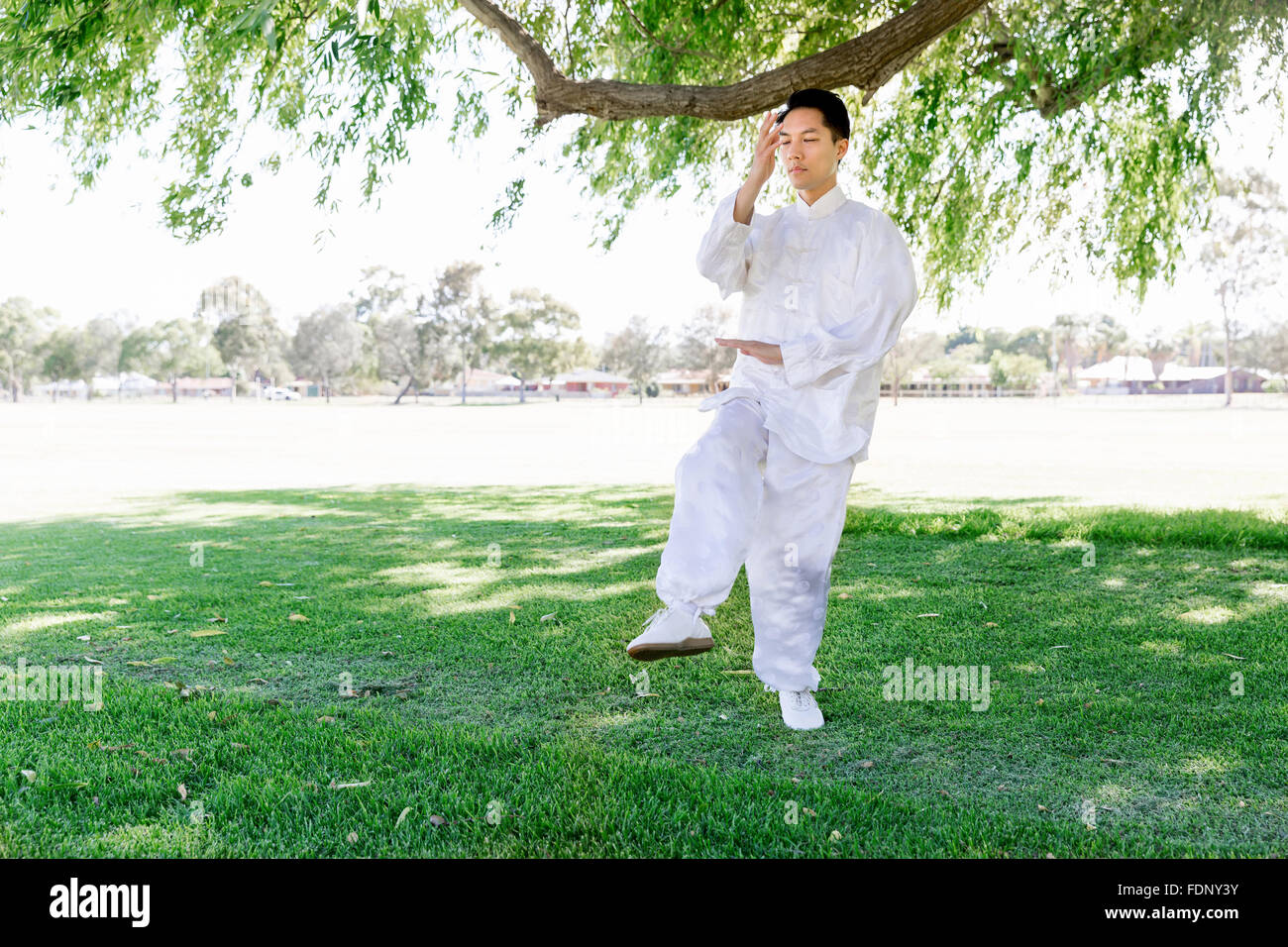 Handsome man practicing thai chi in the park in the summertime Stock ...