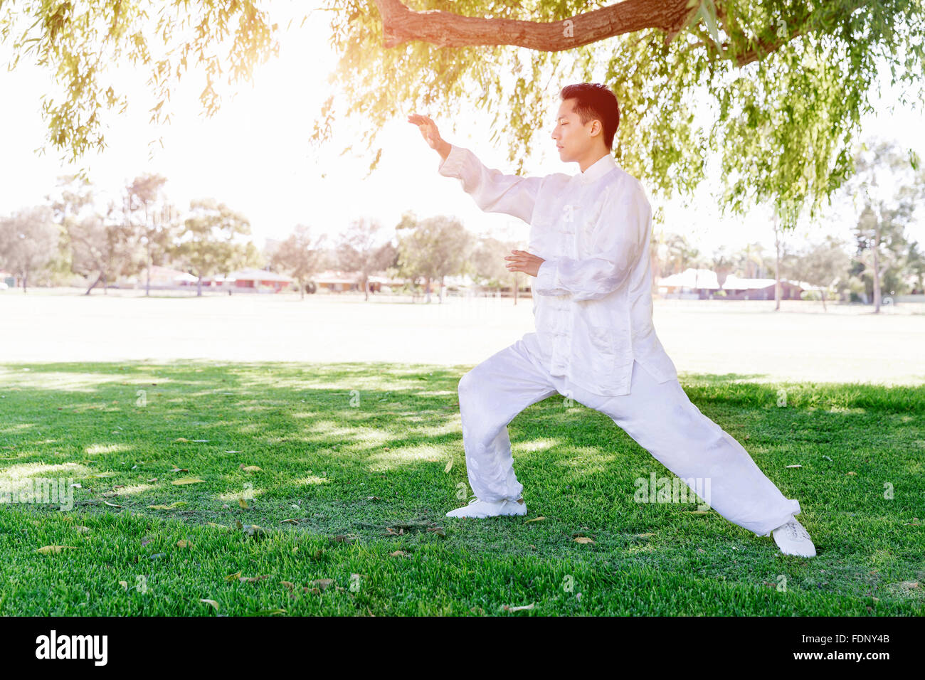 Handsome man practicing thai chi in the park in the summertime Stock ...