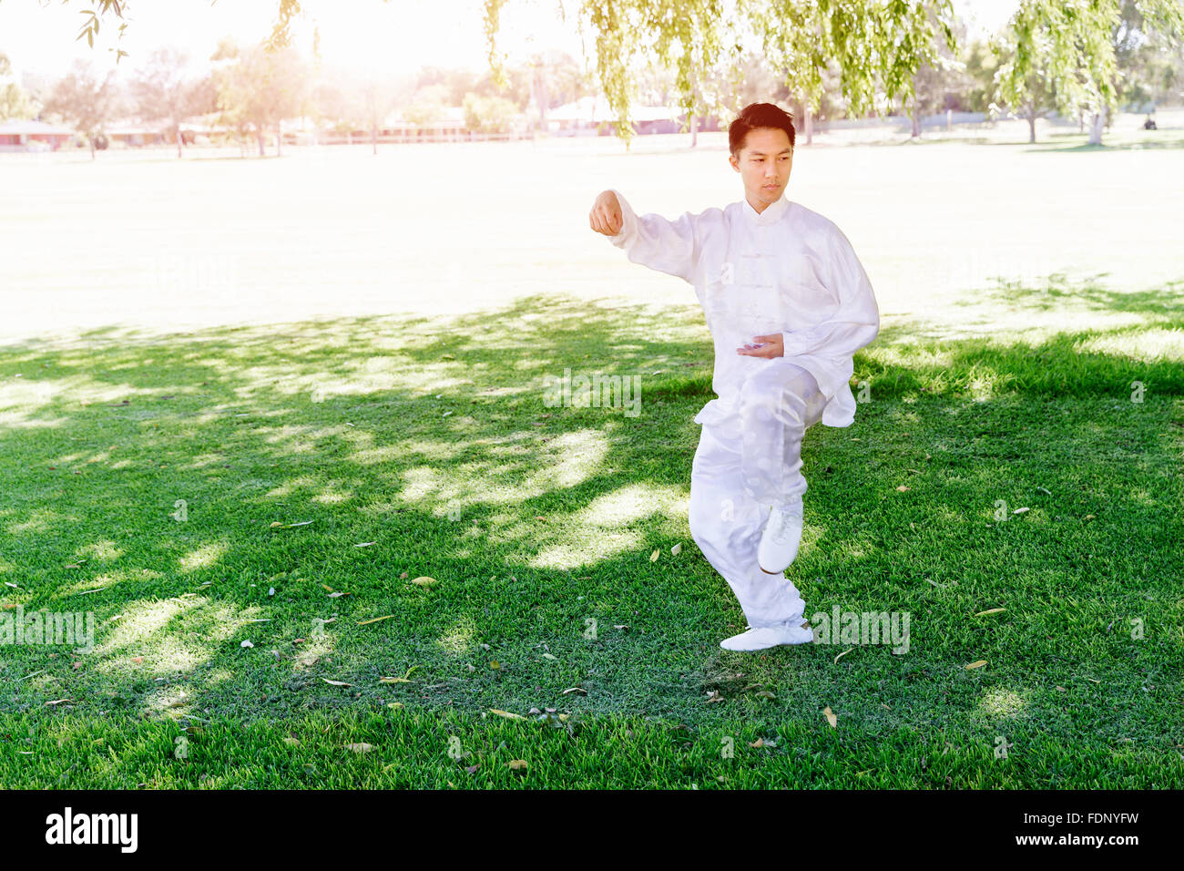 Handsome man practicing thai chi in the park in the summertime Stock ...