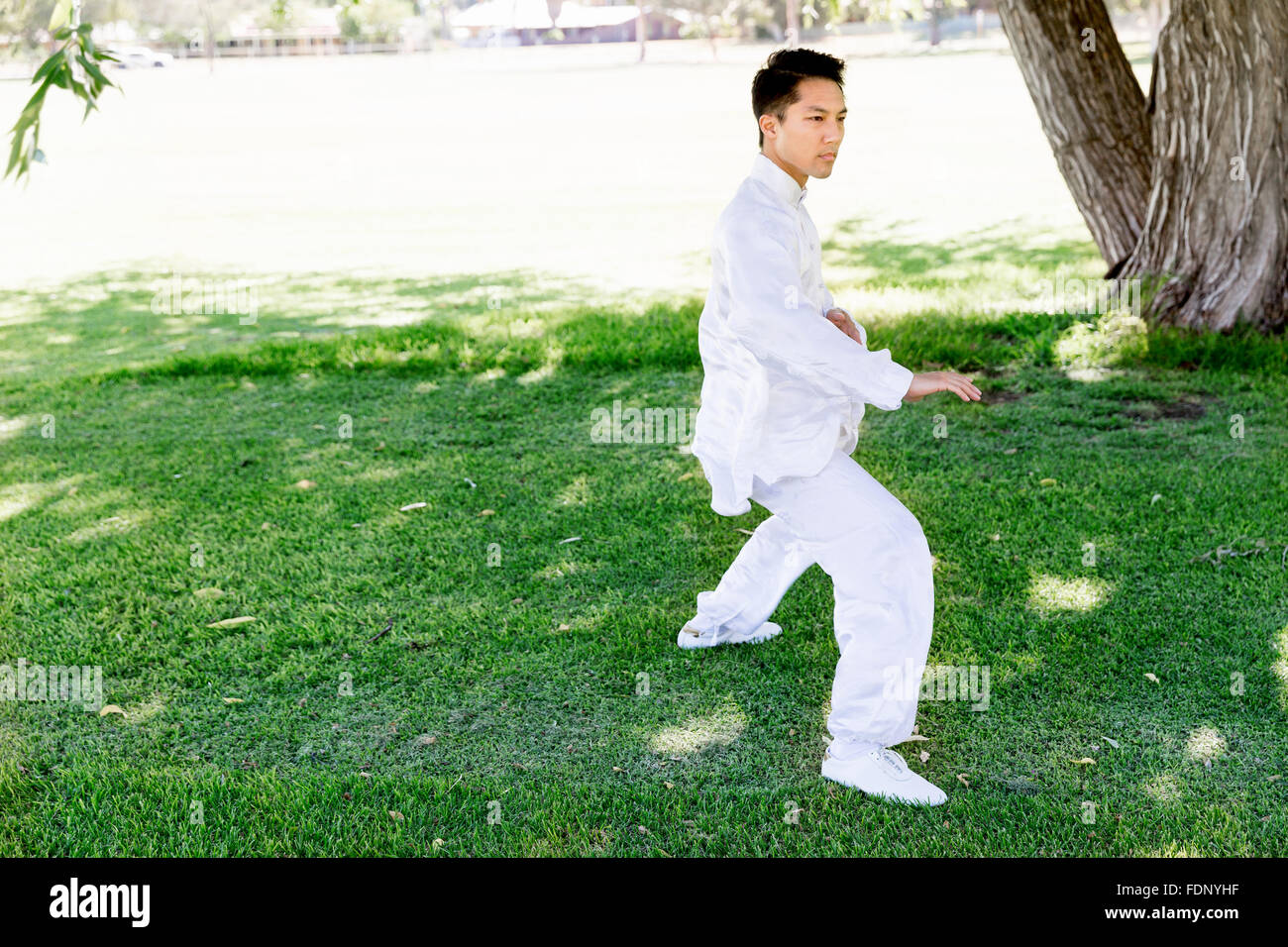 Handsome man practicing thai chi in the park in the summertime Stock ...