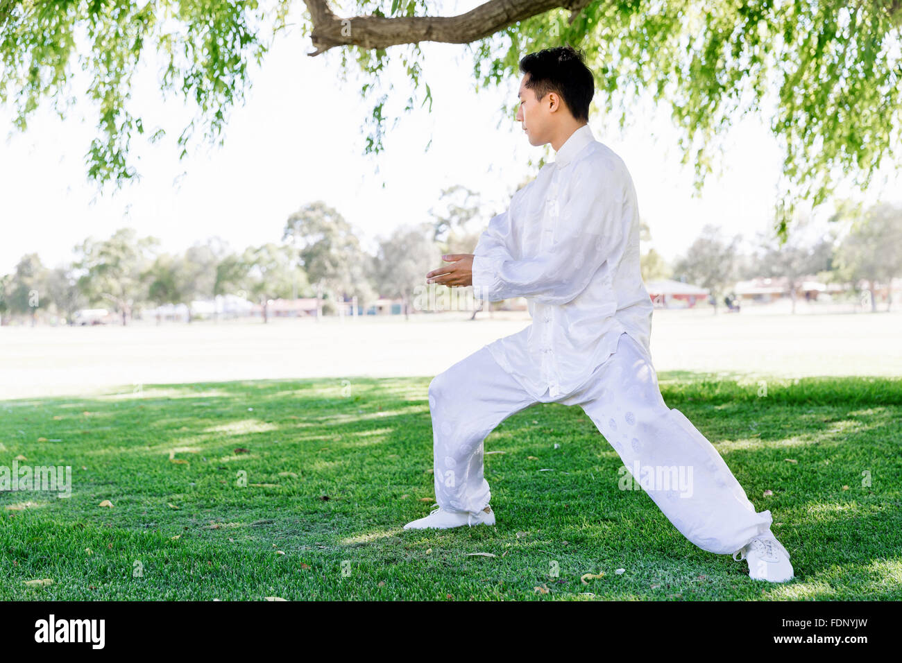 Handsome man practicing thai chi in the park in the summertime Stock ...