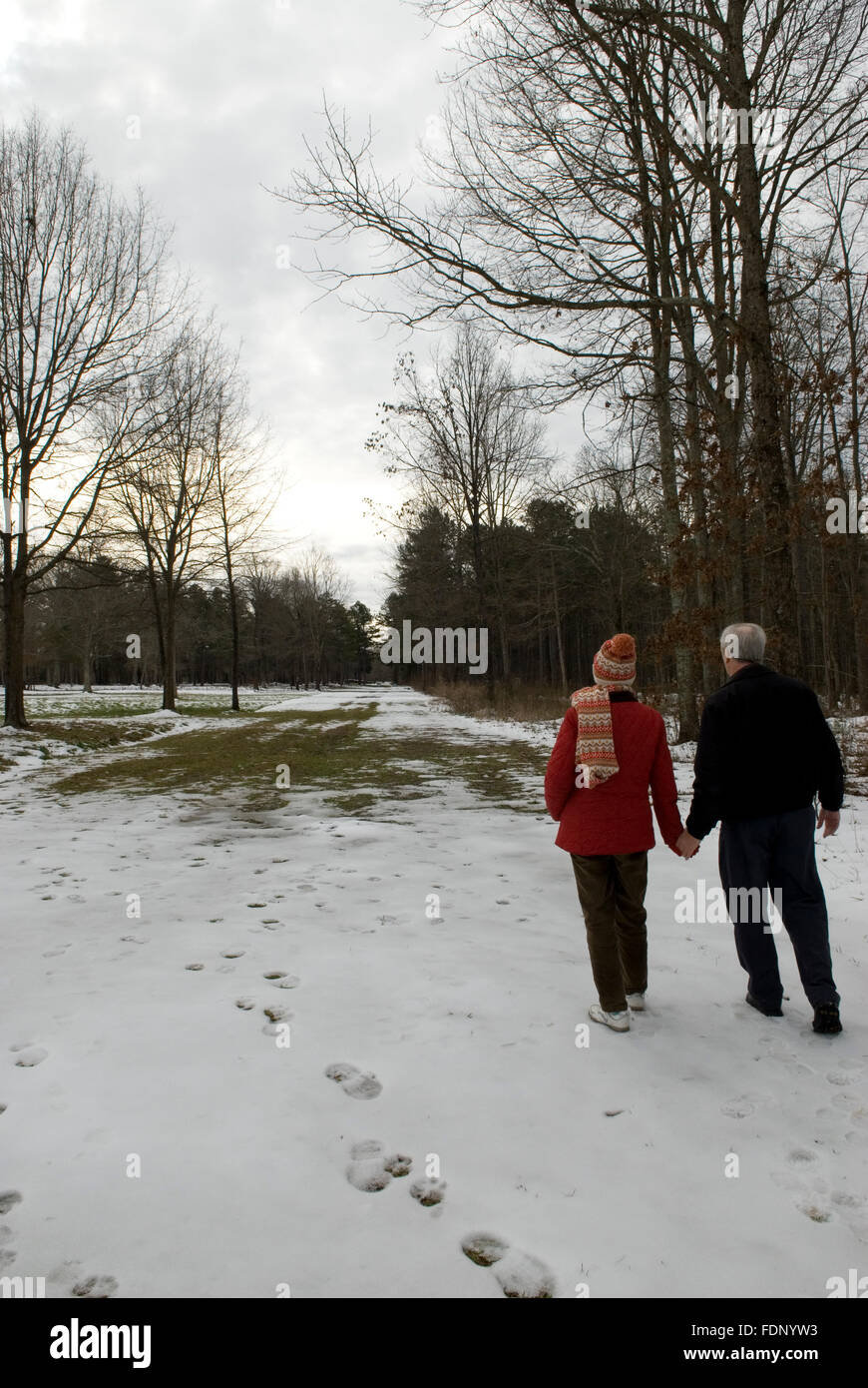Battle of cowpens, 1781 hi-res stock photography and images - Alamy