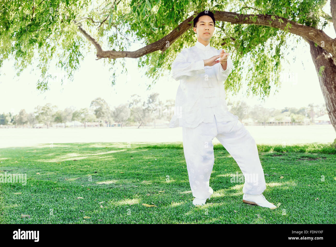 Handsome man practicing thai chi in the park in the summertime Stock ...