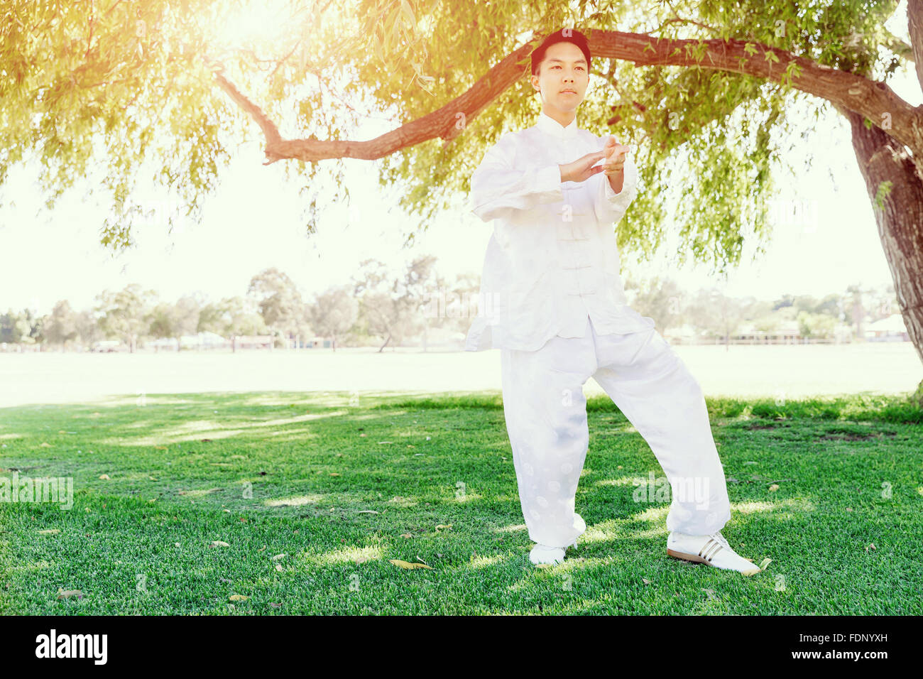 Handsome man practicing thai chi in the park in the summertime Stock ...