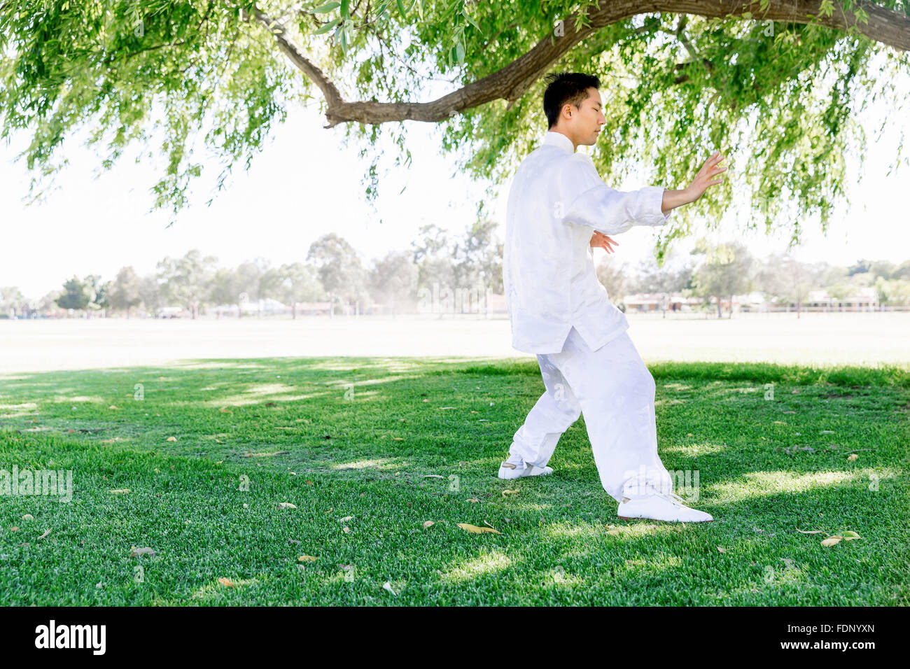 Handsome man practicing thai chi in the park in the summertime Stock ...