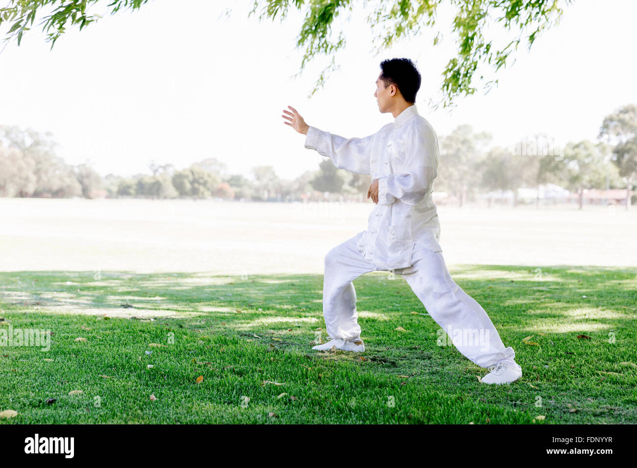Handsome man practicing thai chi in the park in the summertime Stock ...