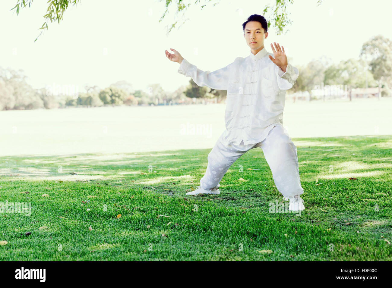 Handsome man practicing thai chi in the park in the summertime Stock ...