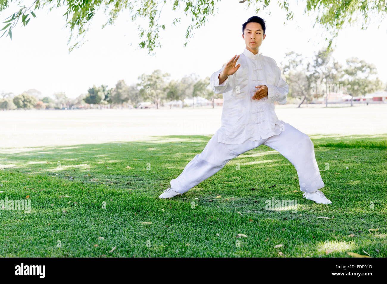Handsome man practicing thai chi in the park in the summertime Stock ...