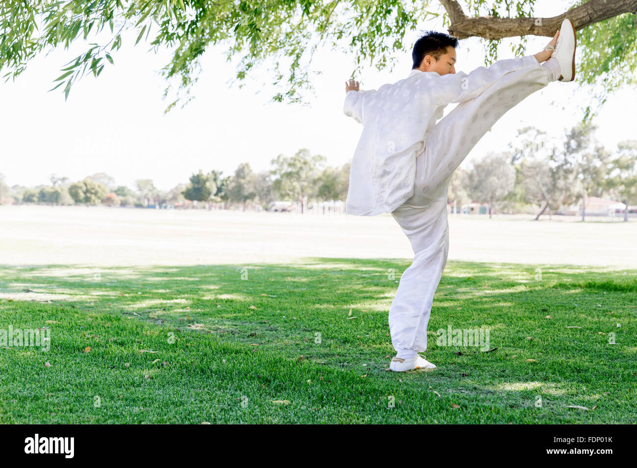 Handsome man practicing thai chi in the park in the summertime Stock ...
