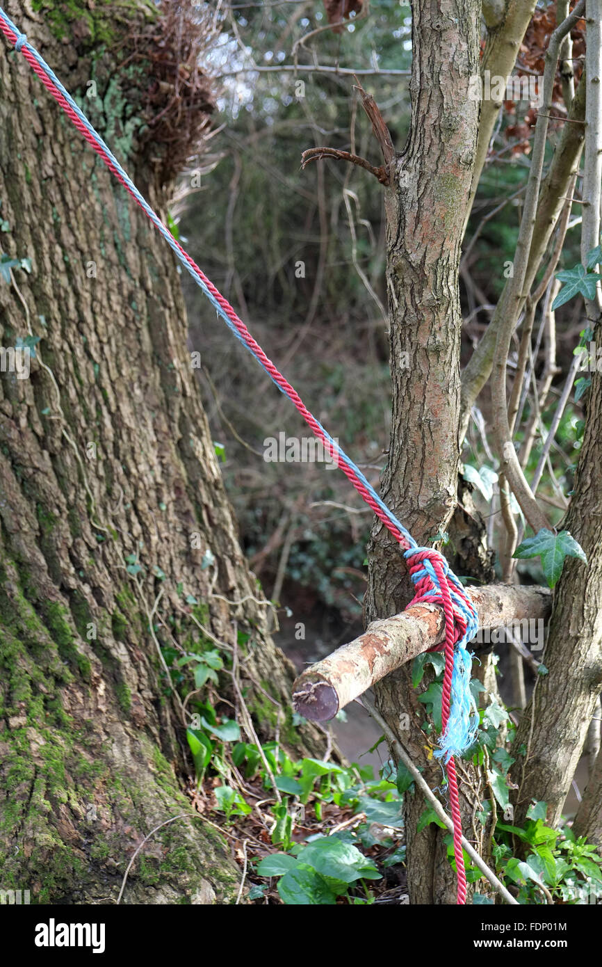 Seat of a river rope swing held back in the trees awaiting the next ...