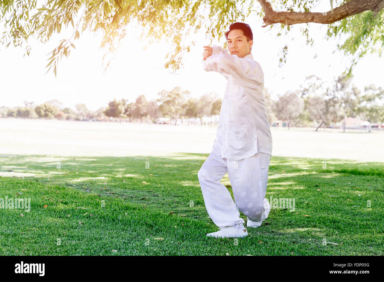 Handsome man practicing thai chi in the park in the summertime Stock ...