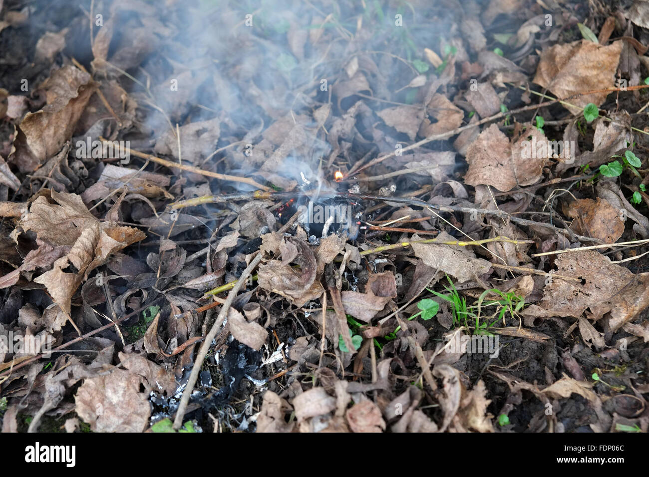 Small fire burning in the leaves of the forest floor, tiny but perhaps ...