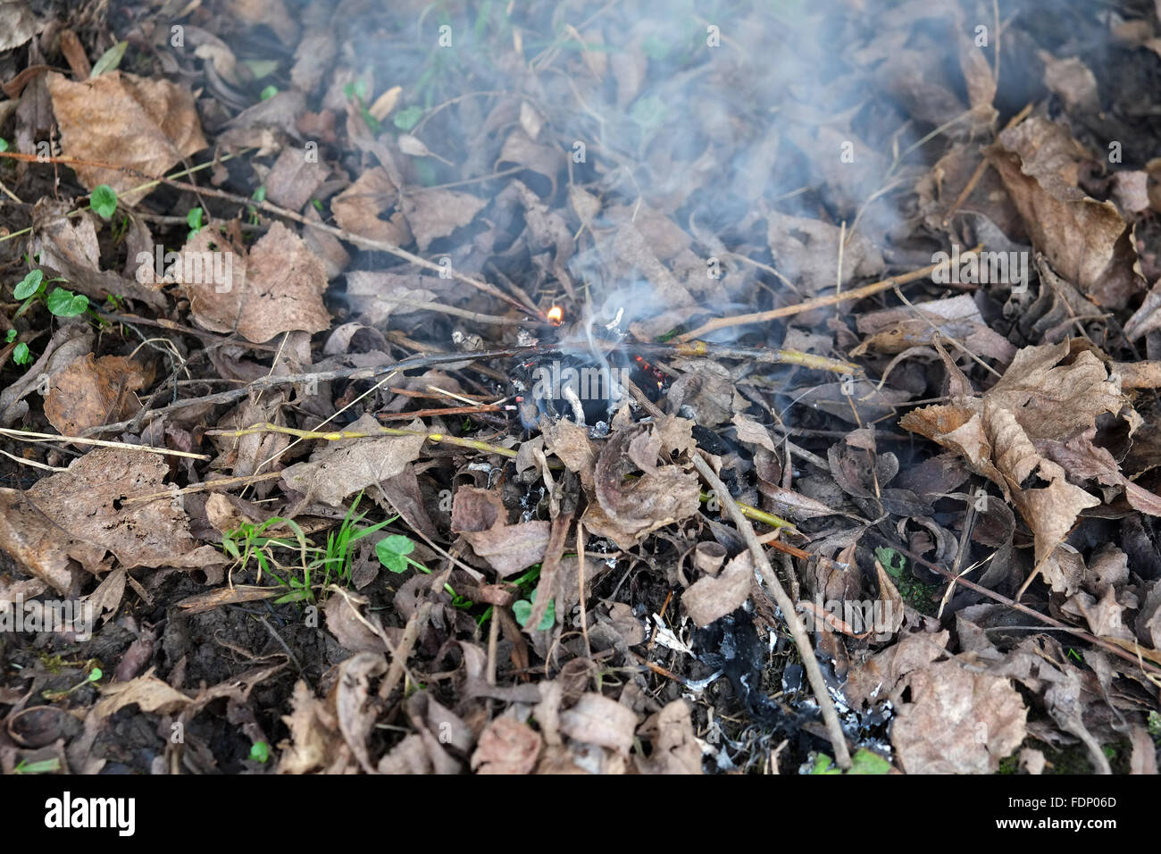 Fire woods hi-res stock photography and images - Alamy