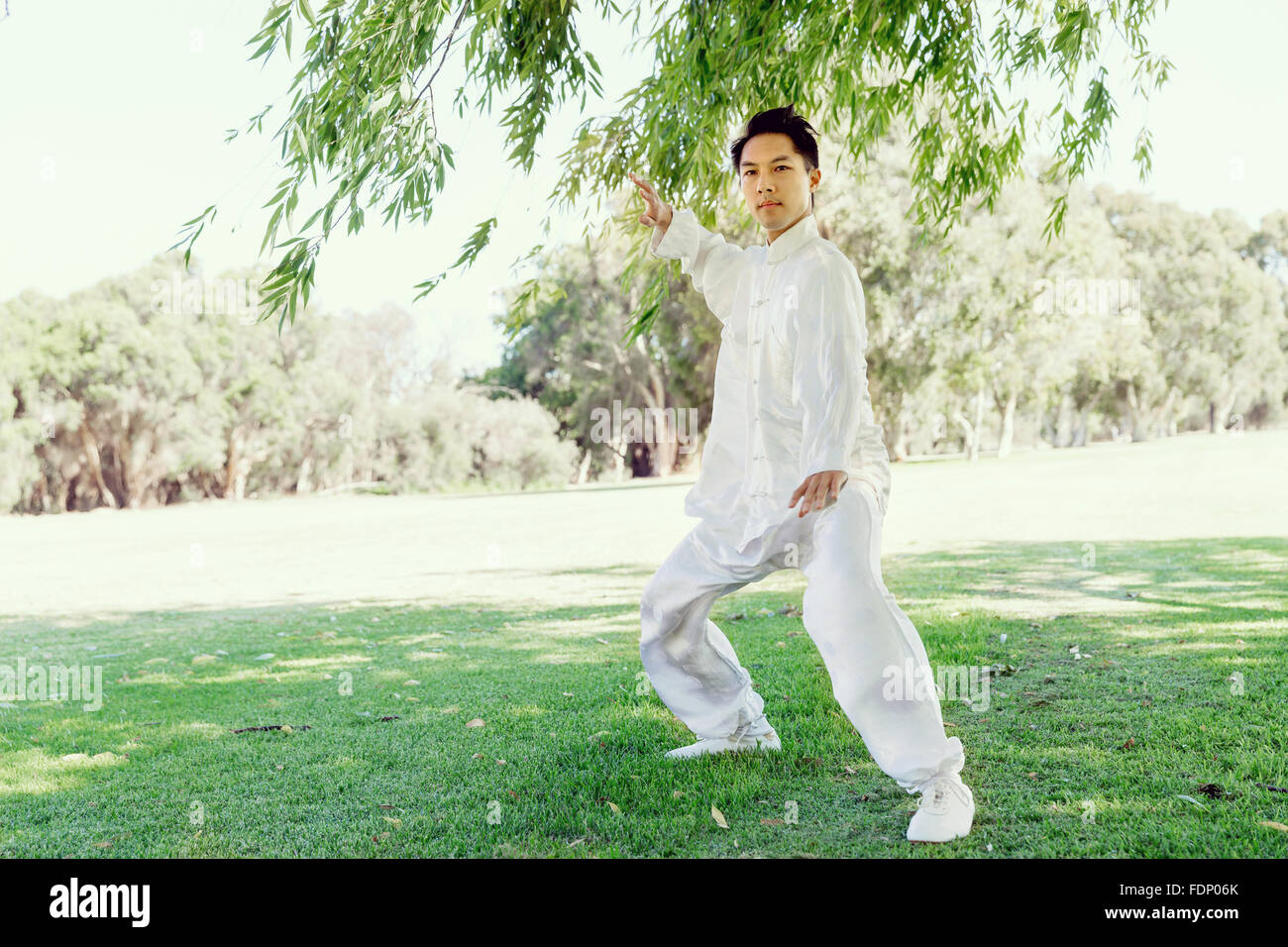 Handsome man practicing thai chi in the park in the summertime Stock ...