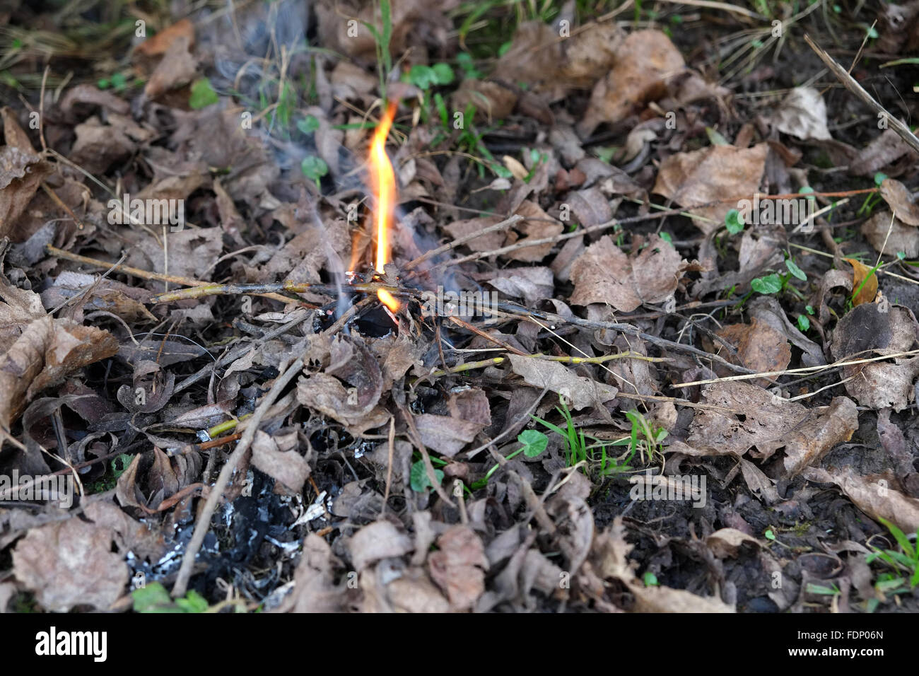 Small fire burning in the leaves of the forest floor, tiny but perhaps ...