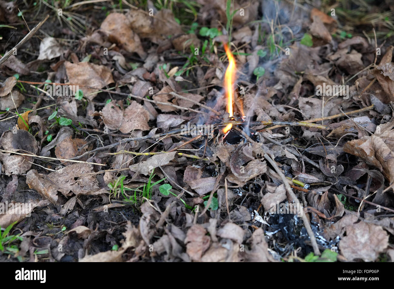 Small fire burning in the leaves of the forest floor, tiny but perhaps ...