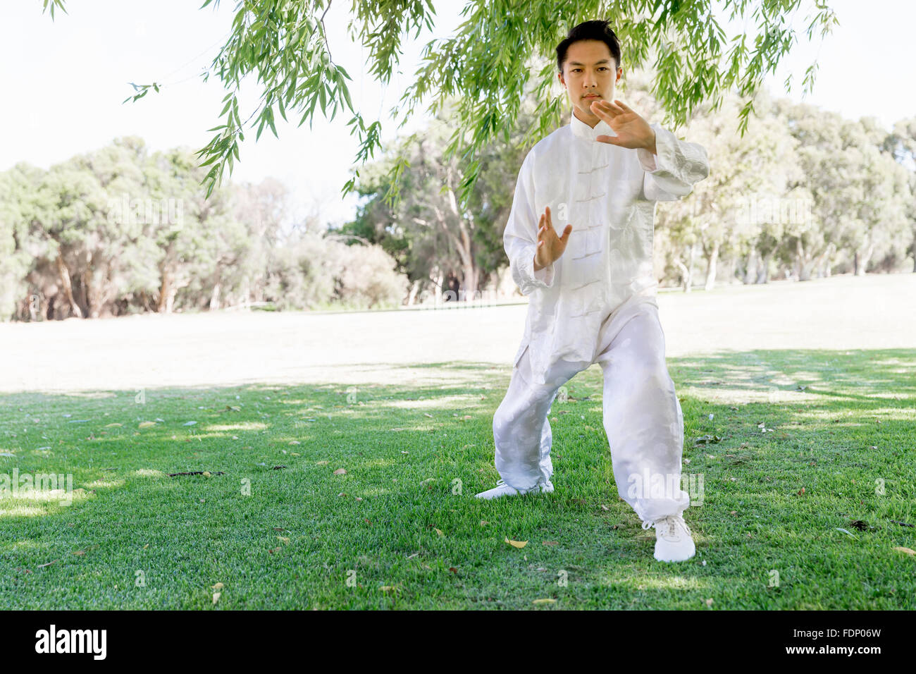 Handsome man practicing thai chi in the park in the summertime Stock ...