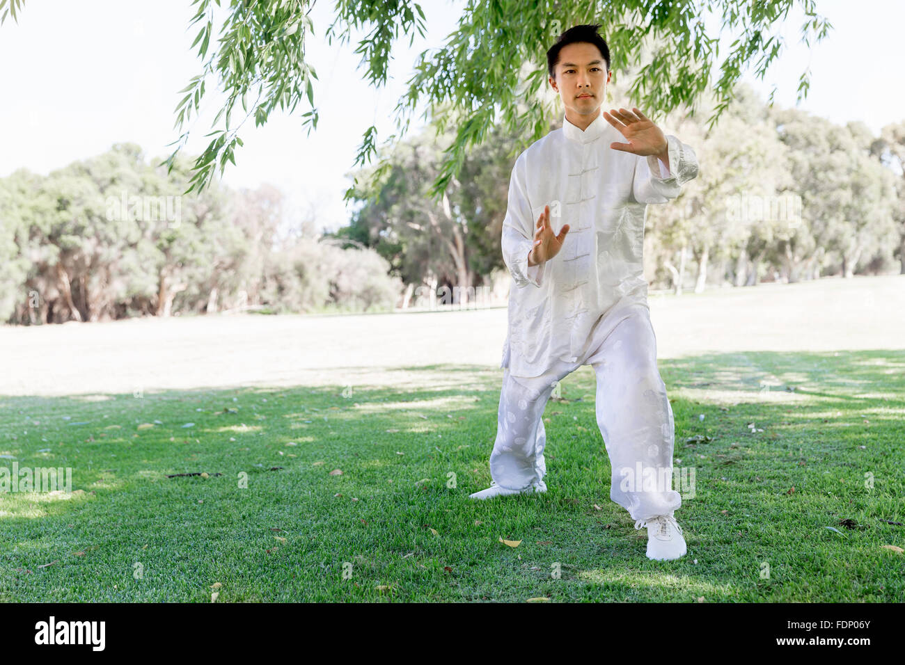 Handsome man practicing thai chi in the park in the summertime Stock ...