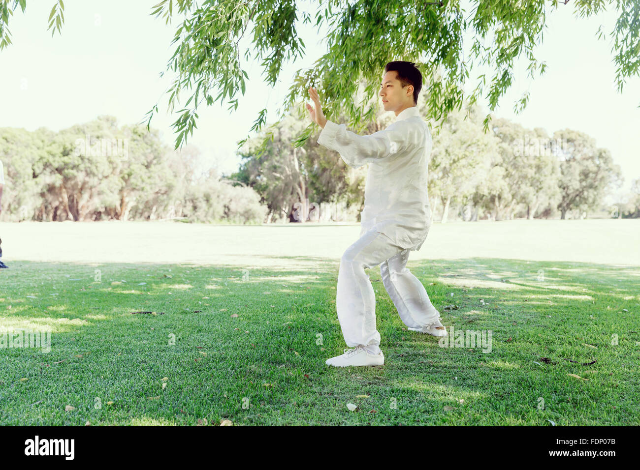Handsome man practicing thai chi in the park in the summertime Stock ...