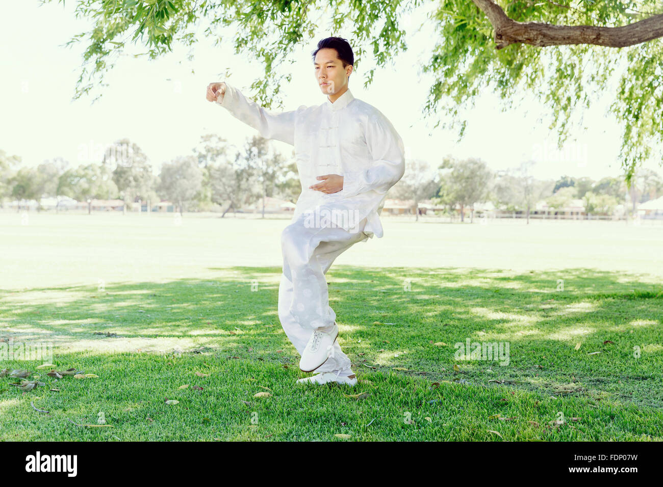 Handsome man practicing thai chi in the park in the summertime Stock ...