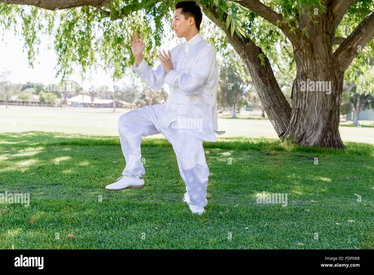 Handsome man practicing thai chi in the park in the summertime Stock ...